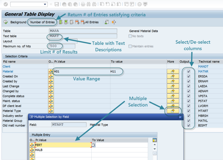 SAP SE16n Table Display: Use it Like a Pro – Michael Romaniello